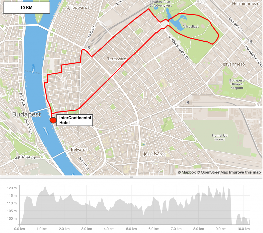 Running in Budapest – RIPE 74